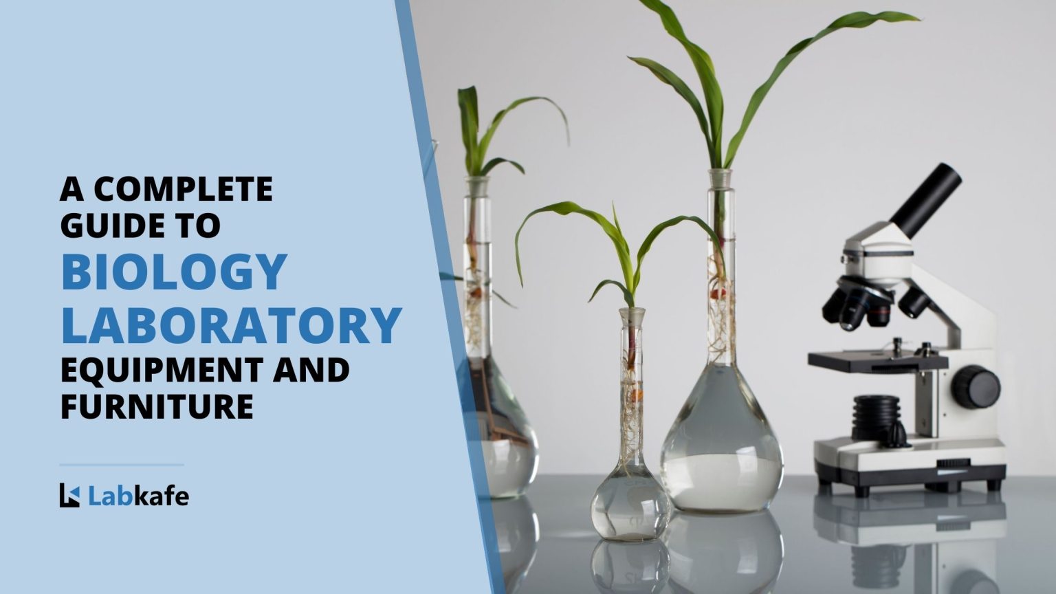 A complete guide to Biology Laboratory Equipment and Furniture