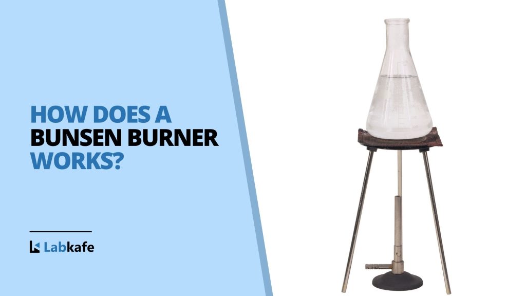 Everything About Bunsen Burner