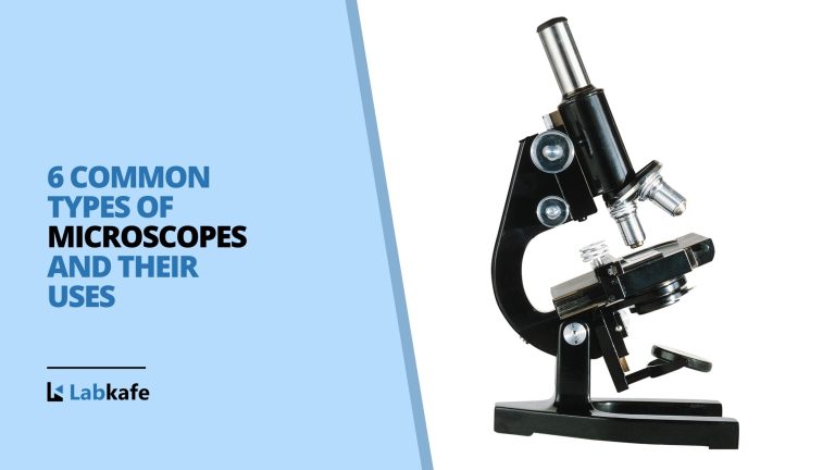 Microscope Types and their Uses