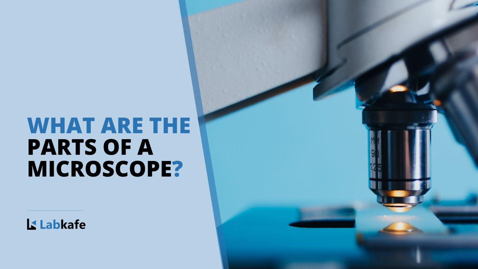 Parts of a Microscope | Microscope Parts and Functions | Labkafe