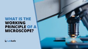 Working Principle of a Microscope | Labkafe - Labkafe Blog