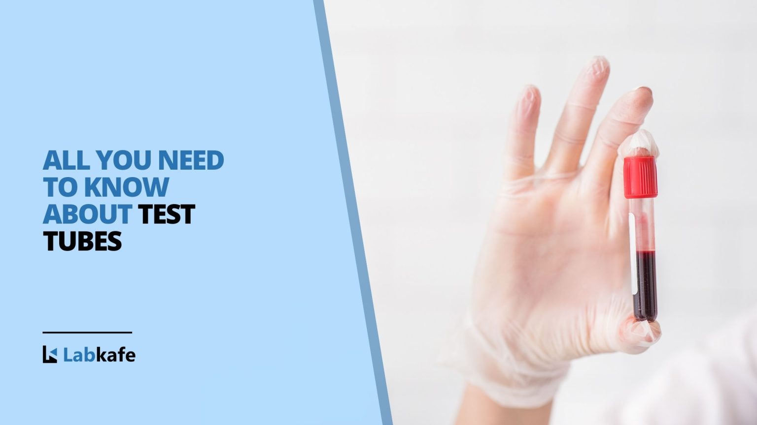 Test Tubes ‒ All You Need to Know | Labkafe - Labkafe Blog