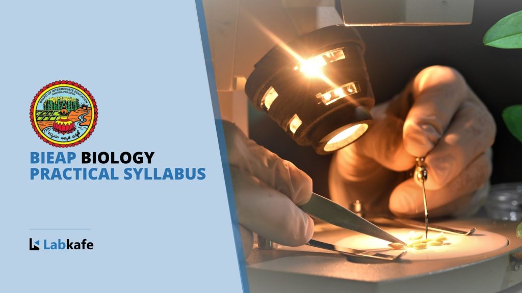 BIEAP Biology Practical Syllabus | Labkafe - Labkafe