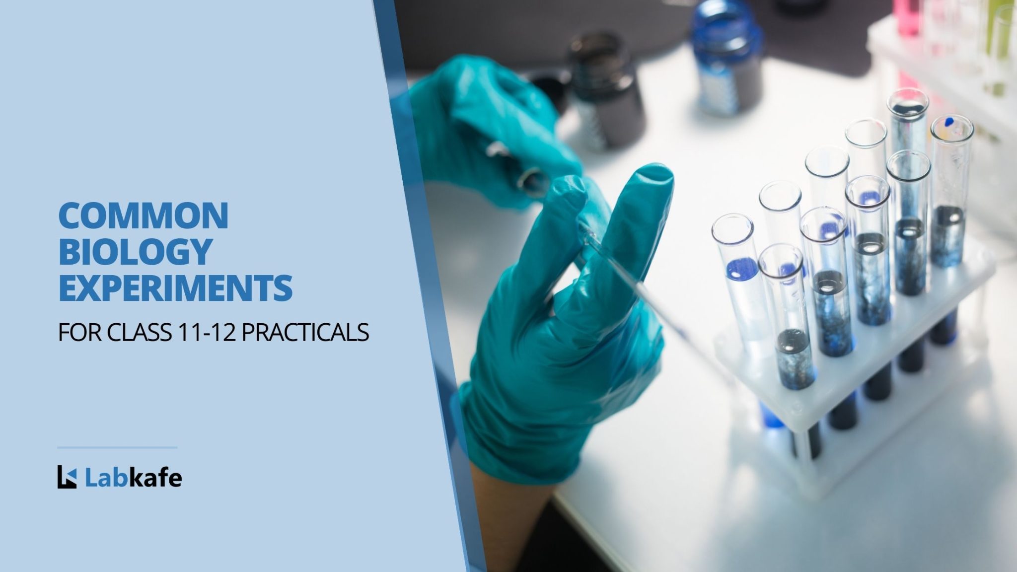 Common biology experiments for class 11 12 practicals | Labkafe - Labkafe