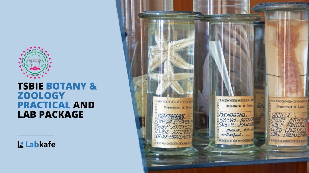 TSBIE Botany & Zoology Practical and Lab Package | Labkafe - Labkafe