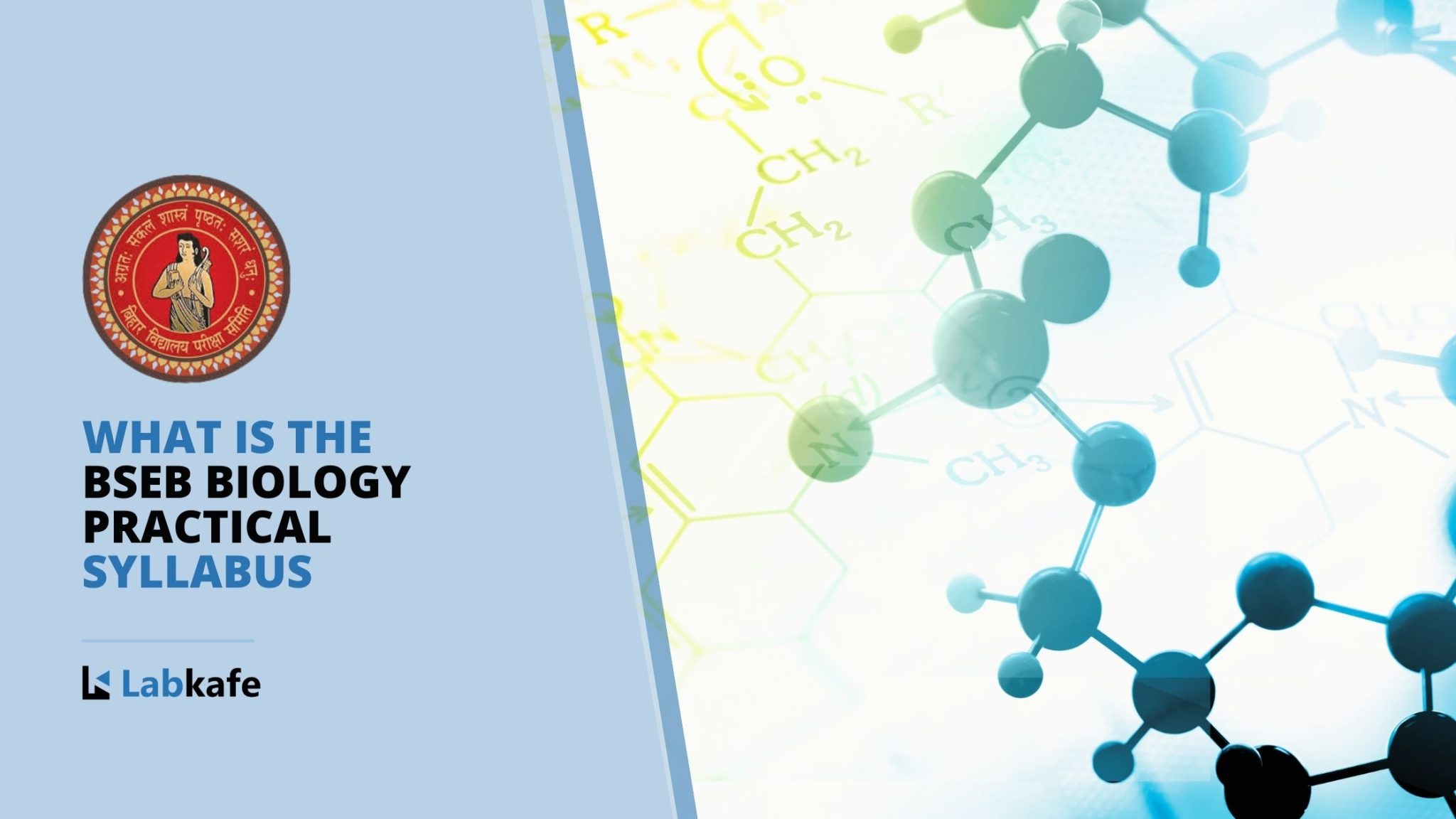 What is the BSEB Biology Practical Syllabus | Labkafe - About Labkafe