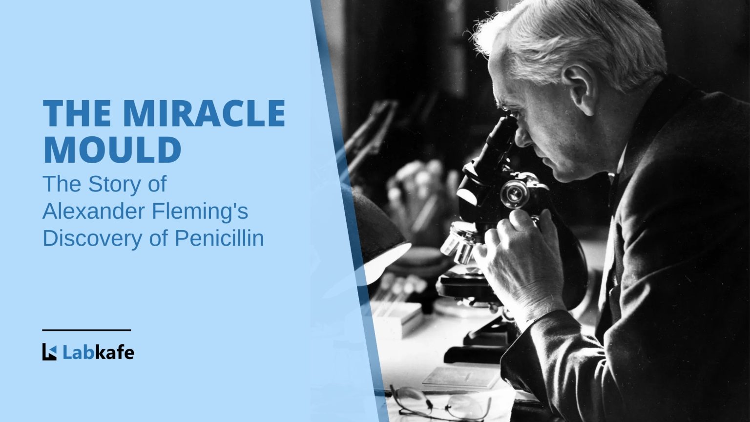The Story of Discovery of Penicillin - The Miracle Mould