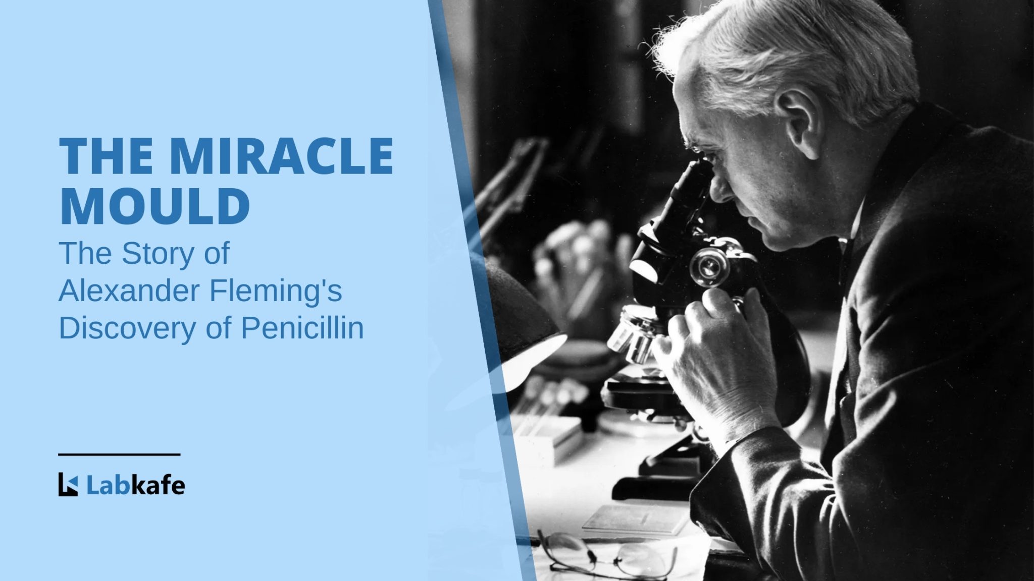 The Story of Discovery of Penicillin - The Miracle Mould