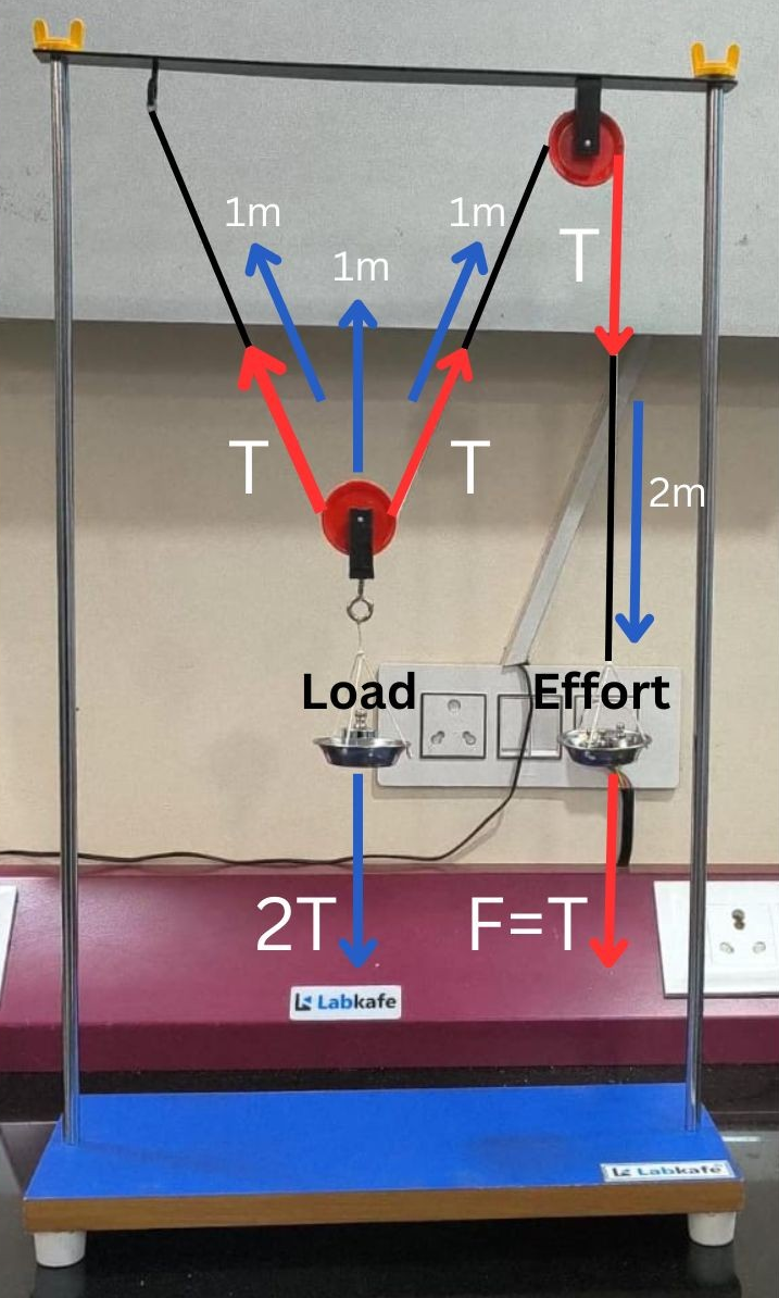 Pulley System for Load Distribution: Complete Explanation