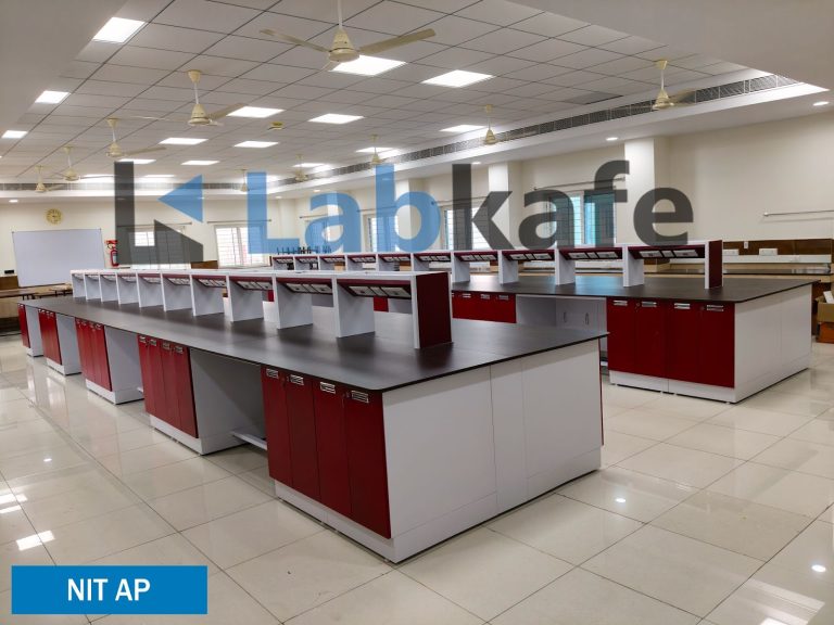 Wet Lab vs Dry Lab: Differences and Uses