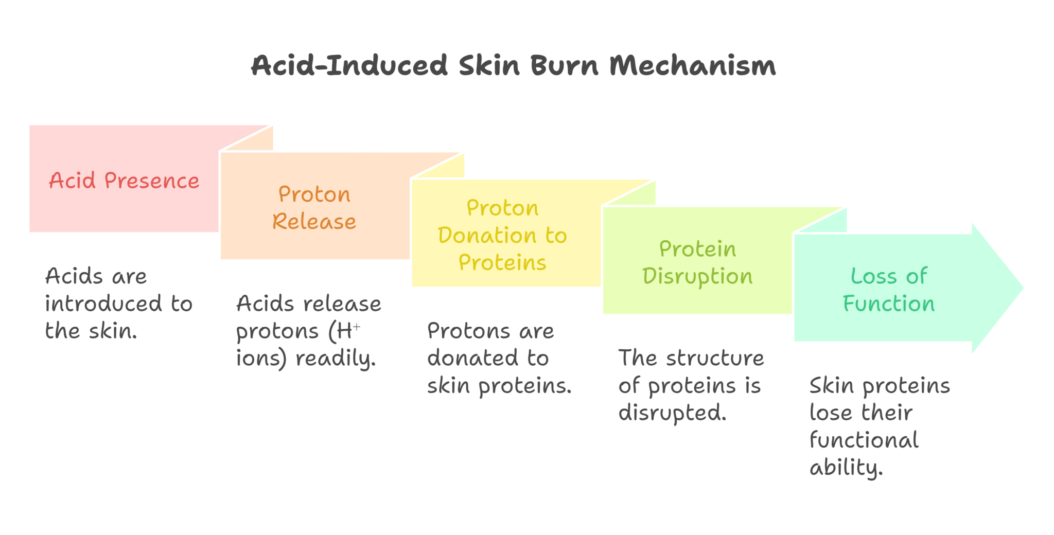 What is the Power of Hydrogen?