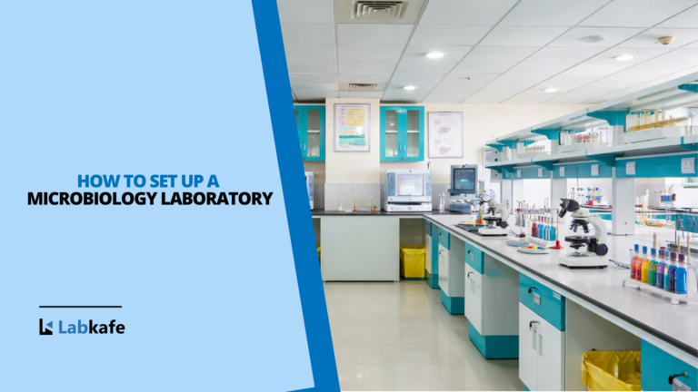 Essential Psychology Lab Equipment List