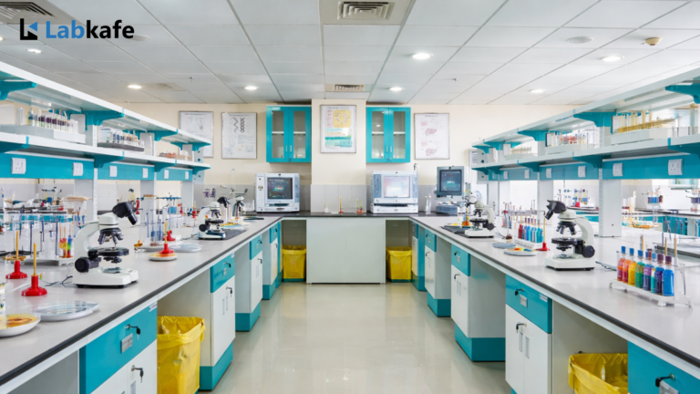 How to Set Up a Microbiology Lab: Equipment & Furniture Checklist