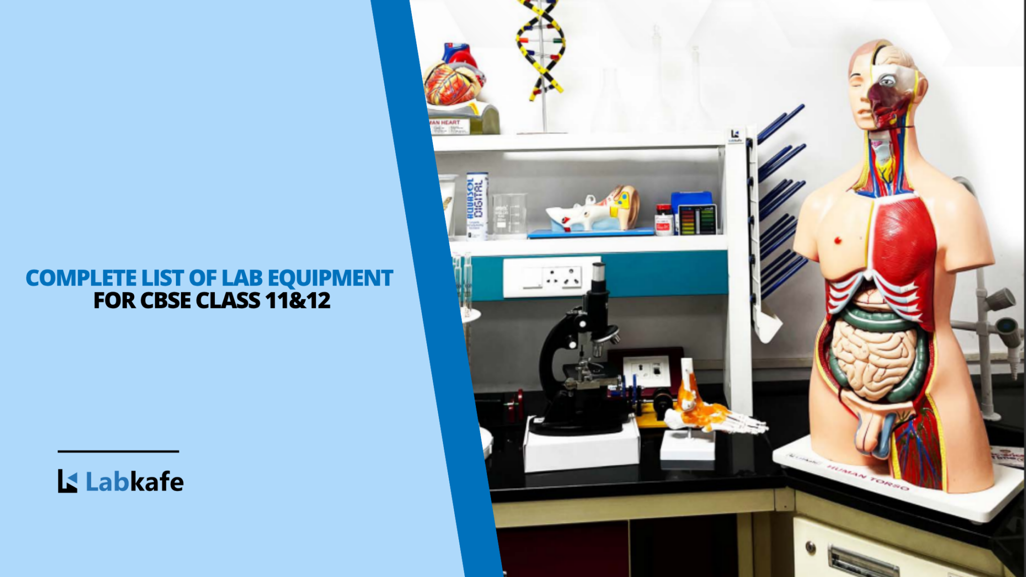 How to Set Up a Microbiology Lab: Equipment & Furniture Checklist