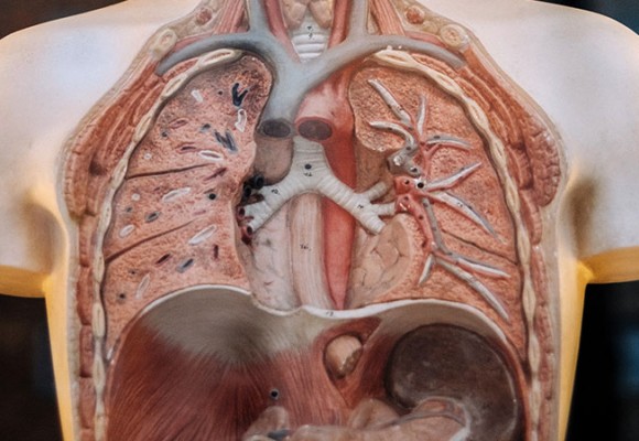 A complete guide to Biology Laboratory Equipment and Furniture | Labkafe