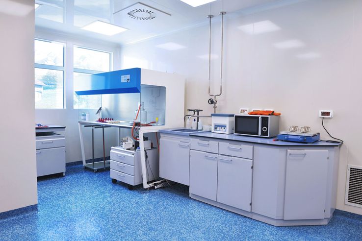 Lab Flooring Explained | Types of Laboratory Floorings and Pros & Cons ...