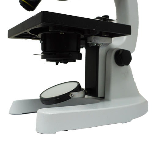 Parts Of A Microscope Microscope Parts And Functions Labkafe